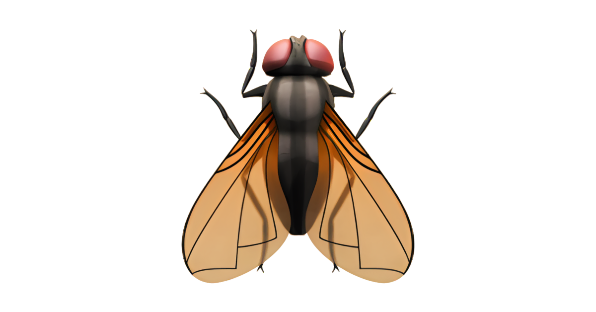 🪰 Fly Emoji — Meaning, Copy & Paste